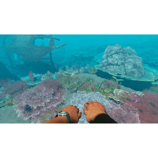 Stranded Deep (Switch) - JRC.cz