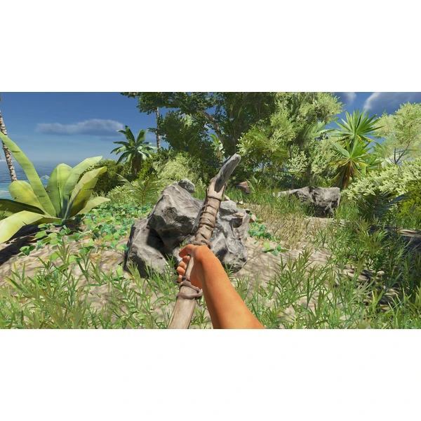 Stranded Deep (Switch) - JRC.cz