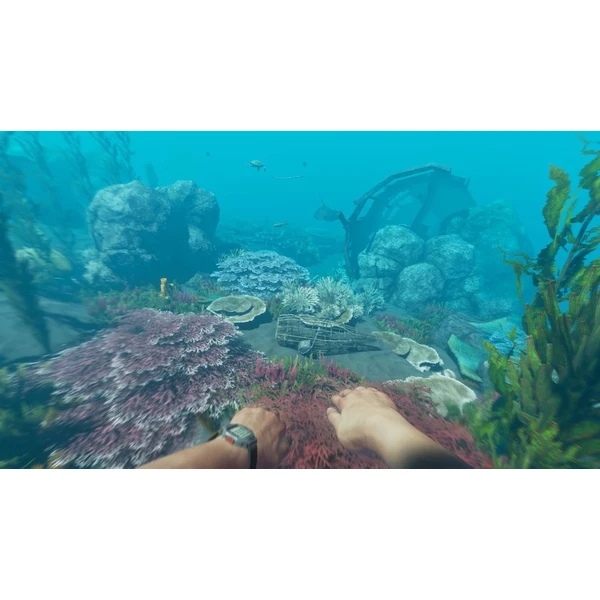 Stranded Deep (Switch) - JRC.cz